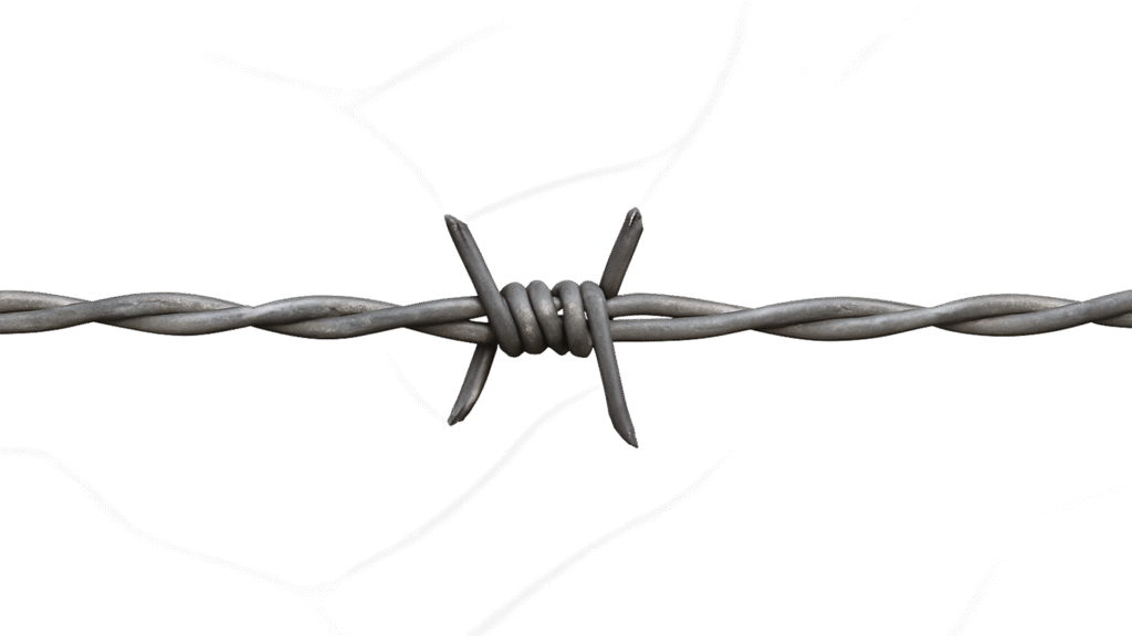 Barbed Wire Transparent PNG 100% Free Download