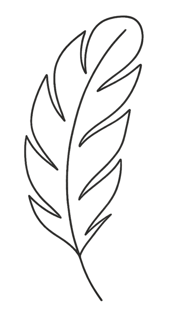 Feather Line Art PNG 100% Free Download | DehraFlicks